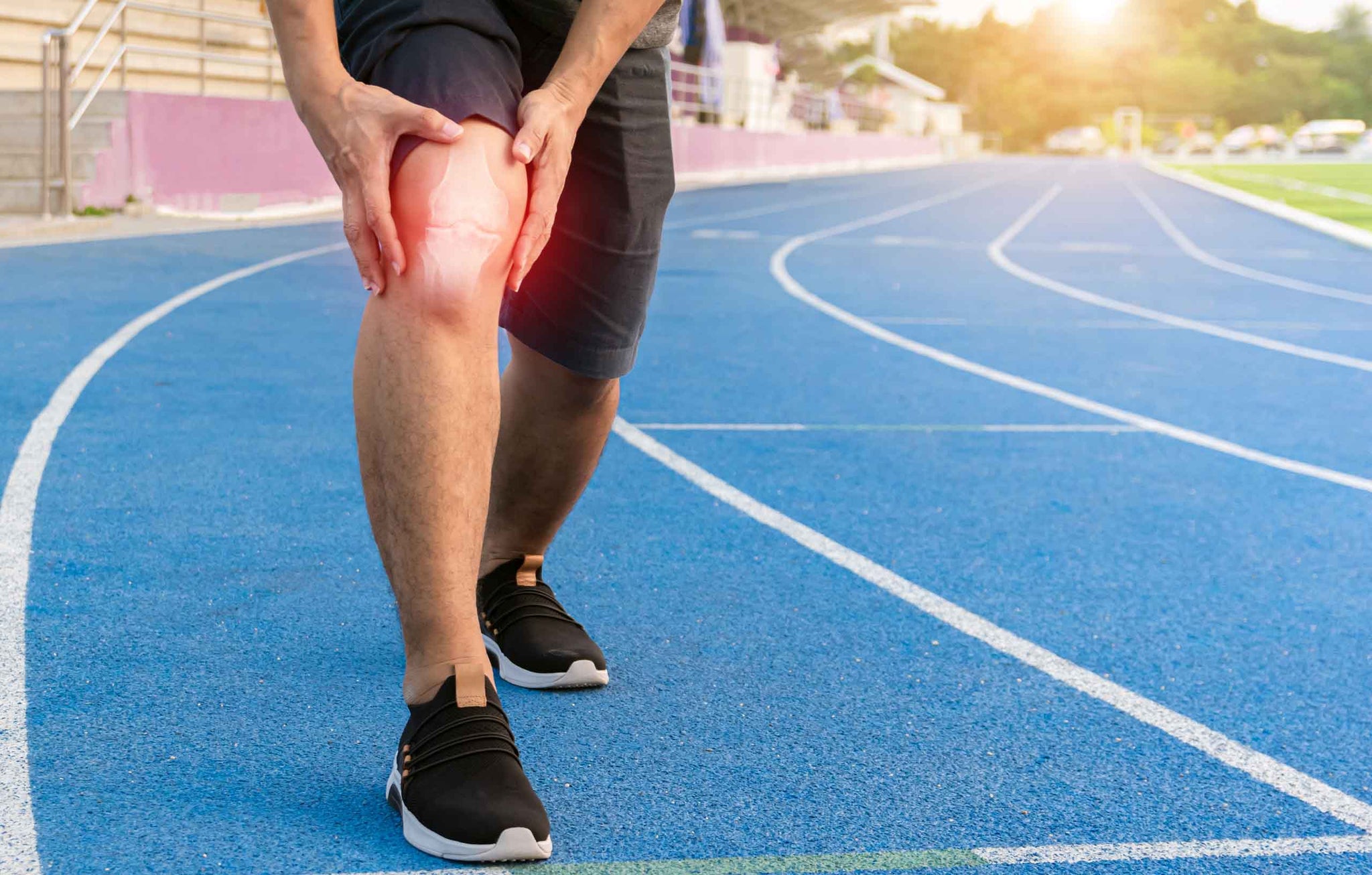 Confort articulaire et alimentation - Kriss-Laure Europe